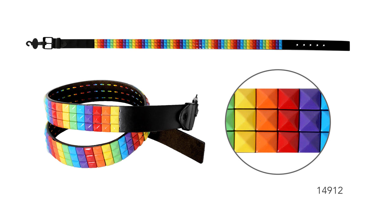 Rainbow Studded Belt