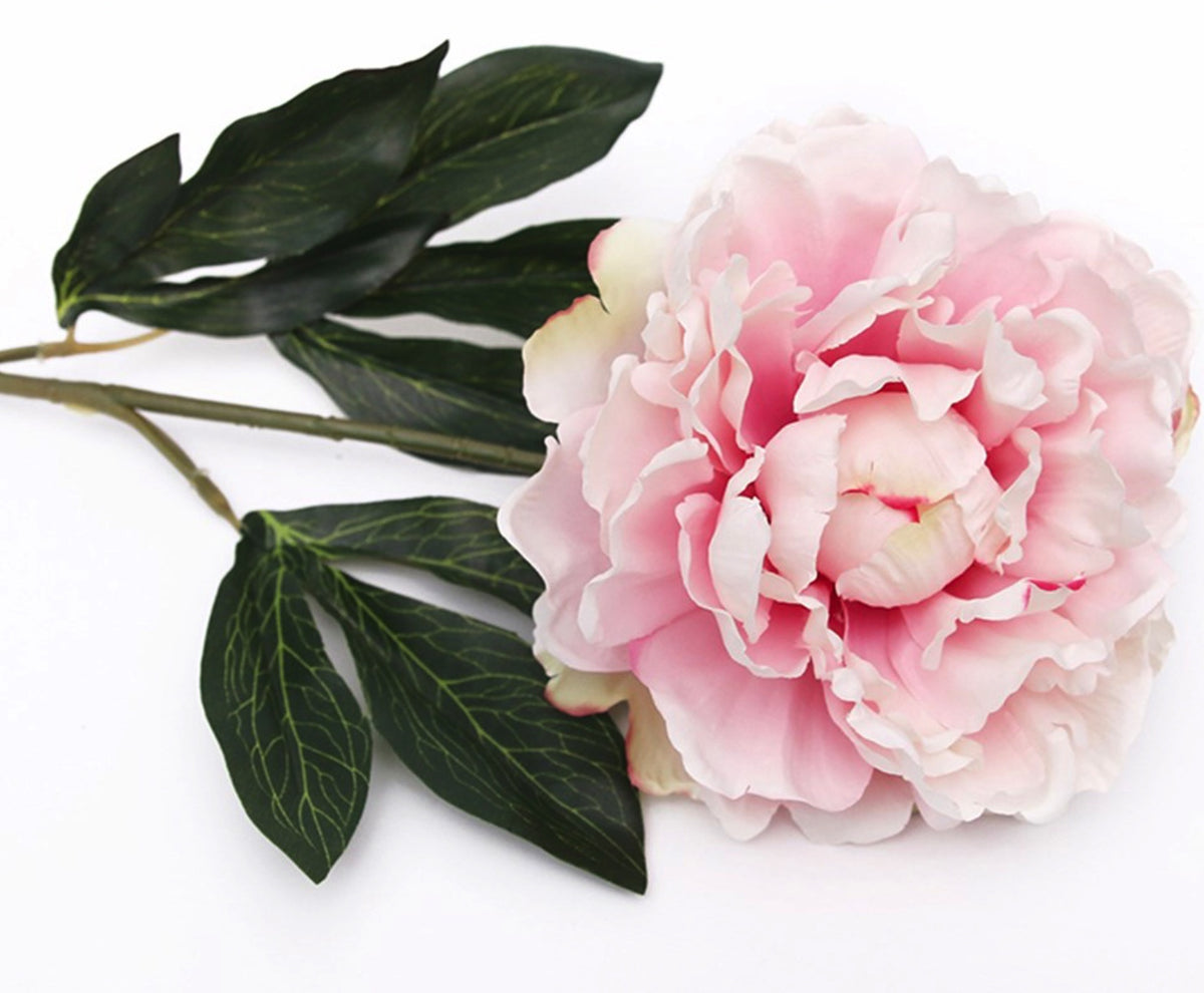 PALE PINK PEONY 65CM STEM