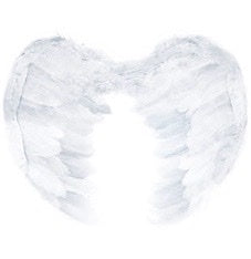 Large white Angel Wings